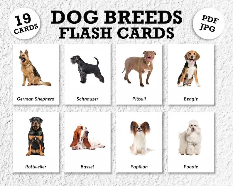19 DOGS BREED Montessori Flashcards, Dogs Flash Cards, PDF Printable ...