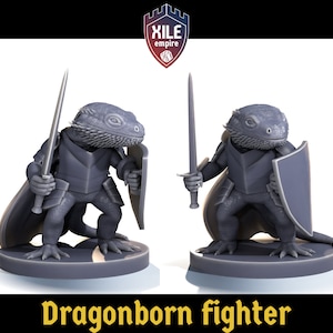 Bearded Dragonborn Fighter sword and Shield 28mm, D&D, Pathfinder ...