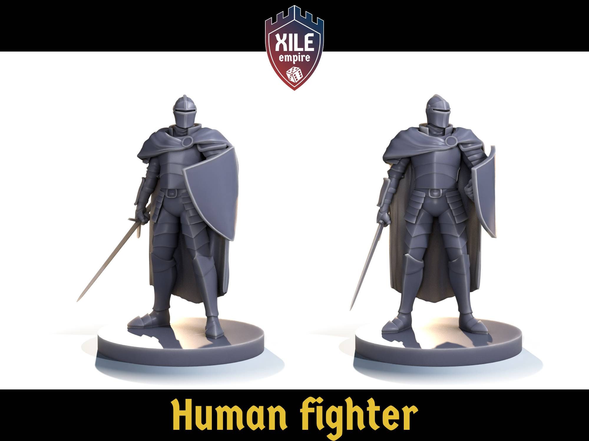 Human Fighter (sword + Shield) 28mm, D&D, Pathfinder, Mz4250 - Etsy