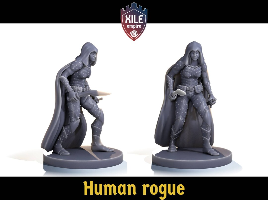 Human Rogue (dual Wield) 28mm, D&D, Pathfinder, Mz4250 - Etsy