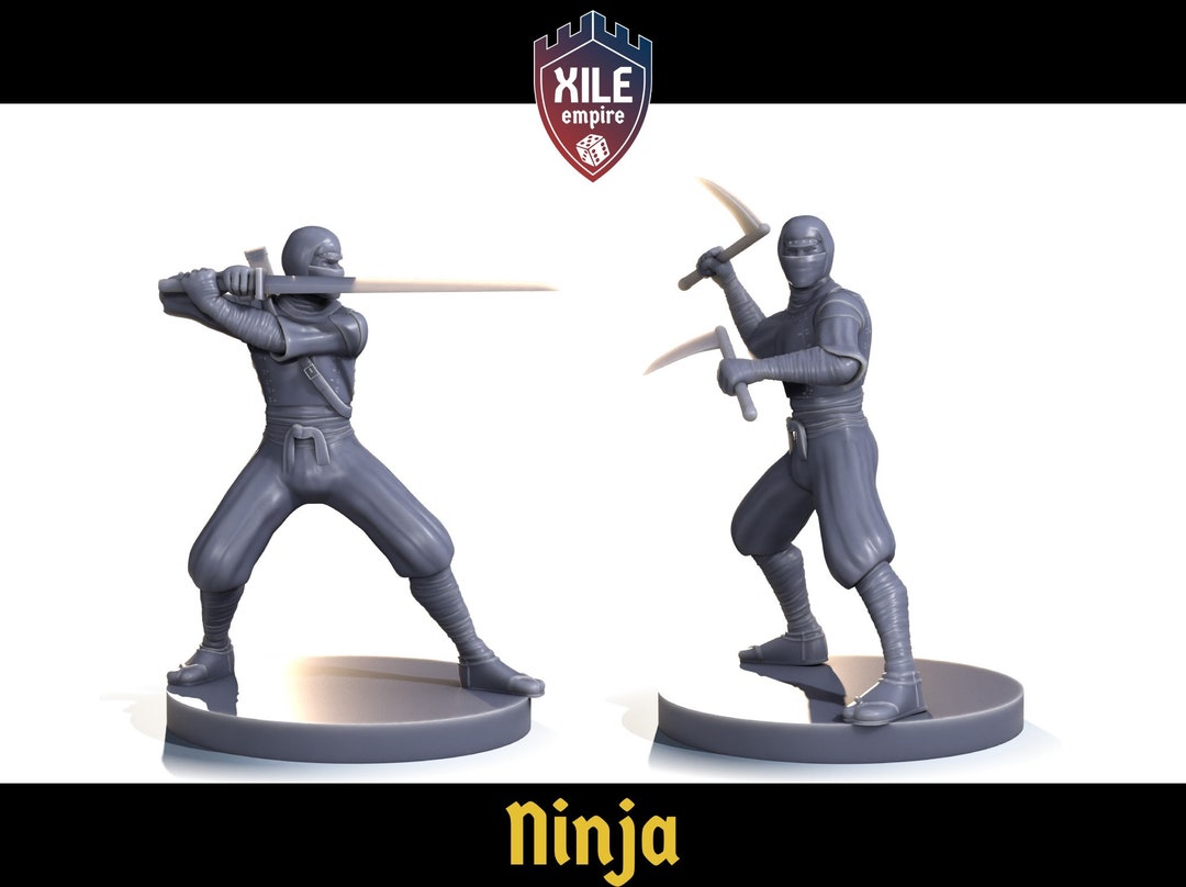 Ninja 28mm, D&D, Pathfinder, Mz4250 - Etsy