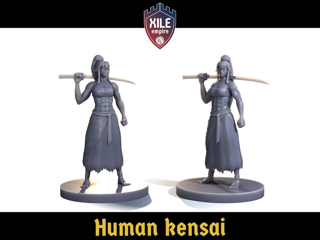 Human Female Kensai 28mm, D&D, Pathfinder, Mz4250 - Etsy