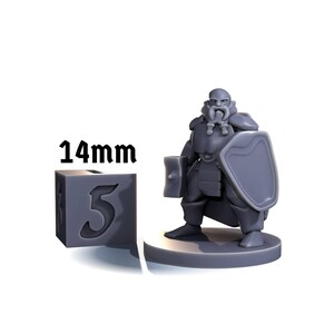 Dwarf Fighter (hammer + Shield) 28mm, D&D, Pathfinder, Mz4250 - Etsy