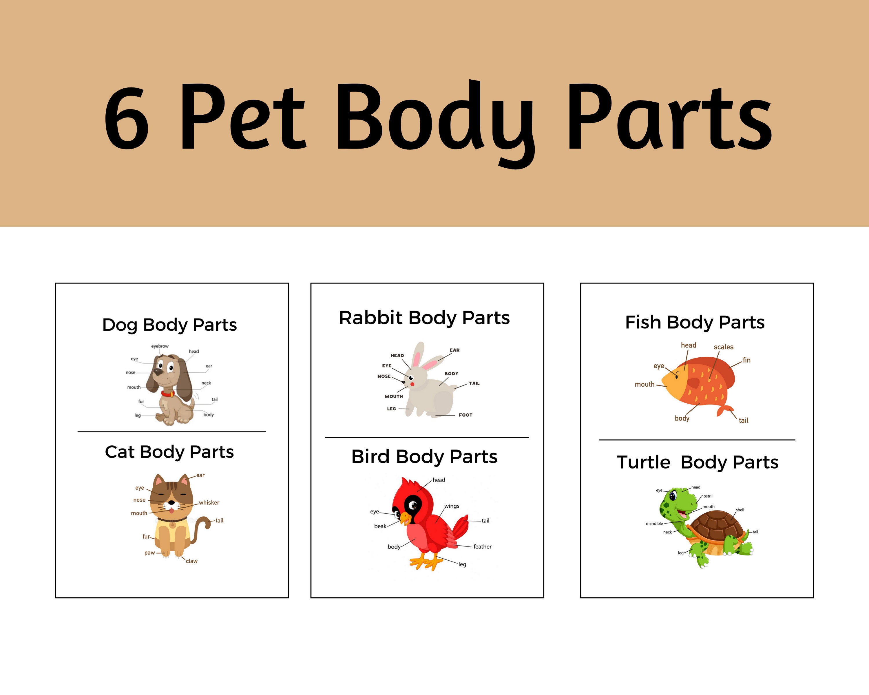 Dramatic Play, Pretend Play Vet Clinic Set, Pet Hospital Pretend Play ...