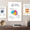 20 Therapist Office Decor Social Worker Posters Therapy Wall Art ...