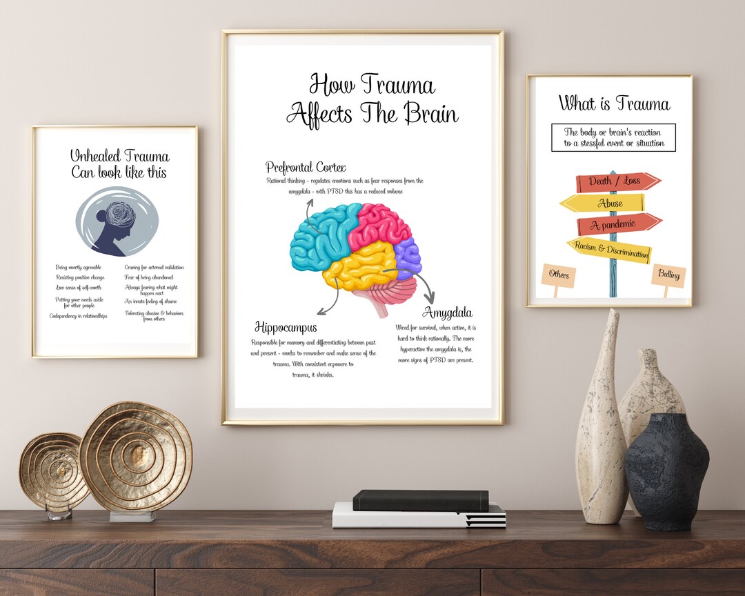 Set of 3 Posters,how Trauma Affects the Brain Poster, Positive ...