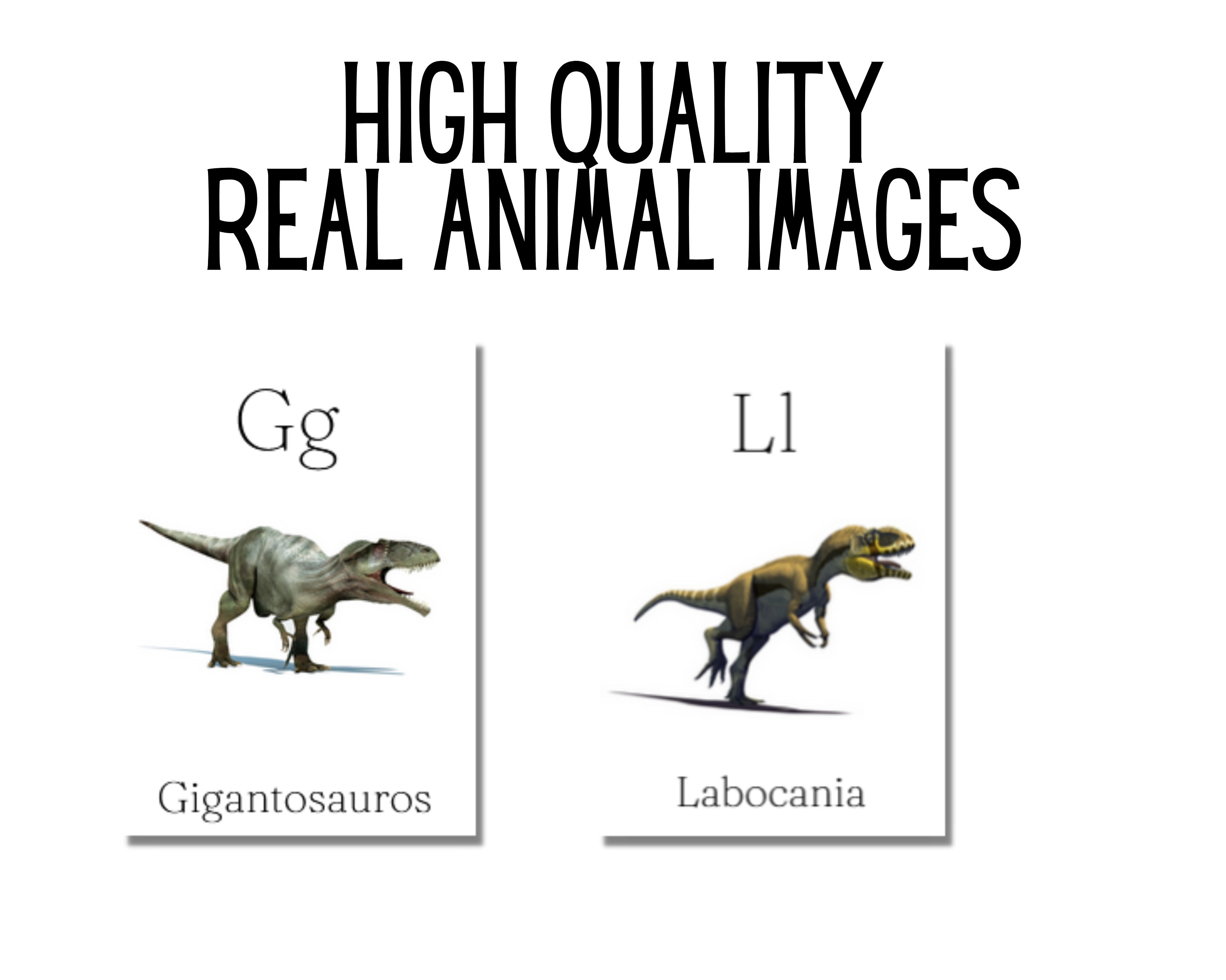 A to Z Dinosaur Names & Alphabet Learning | Printable Educational ...