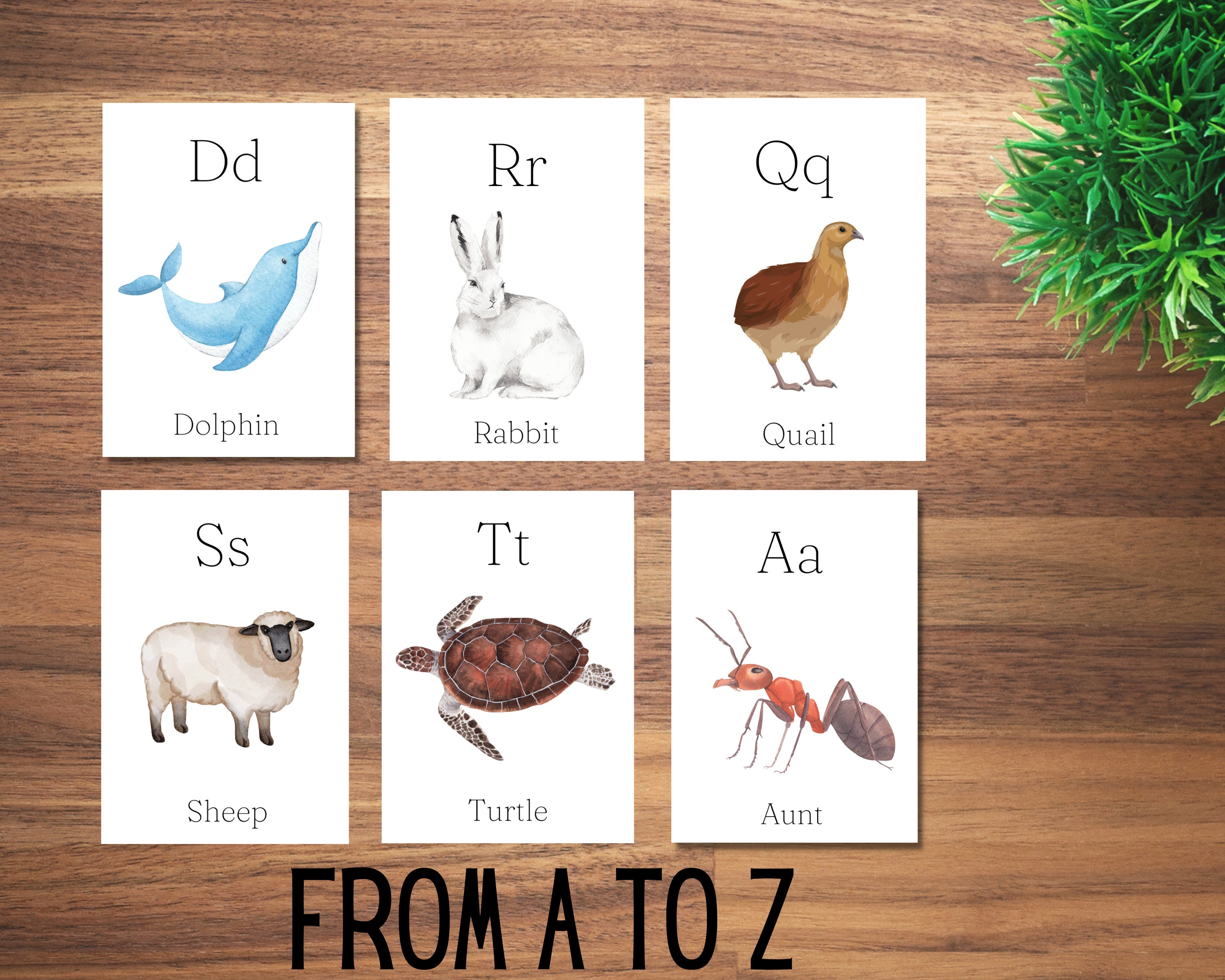 Watercolor Alphabet Flashcards,animals ABC Cards ,montessori, Pre ...
