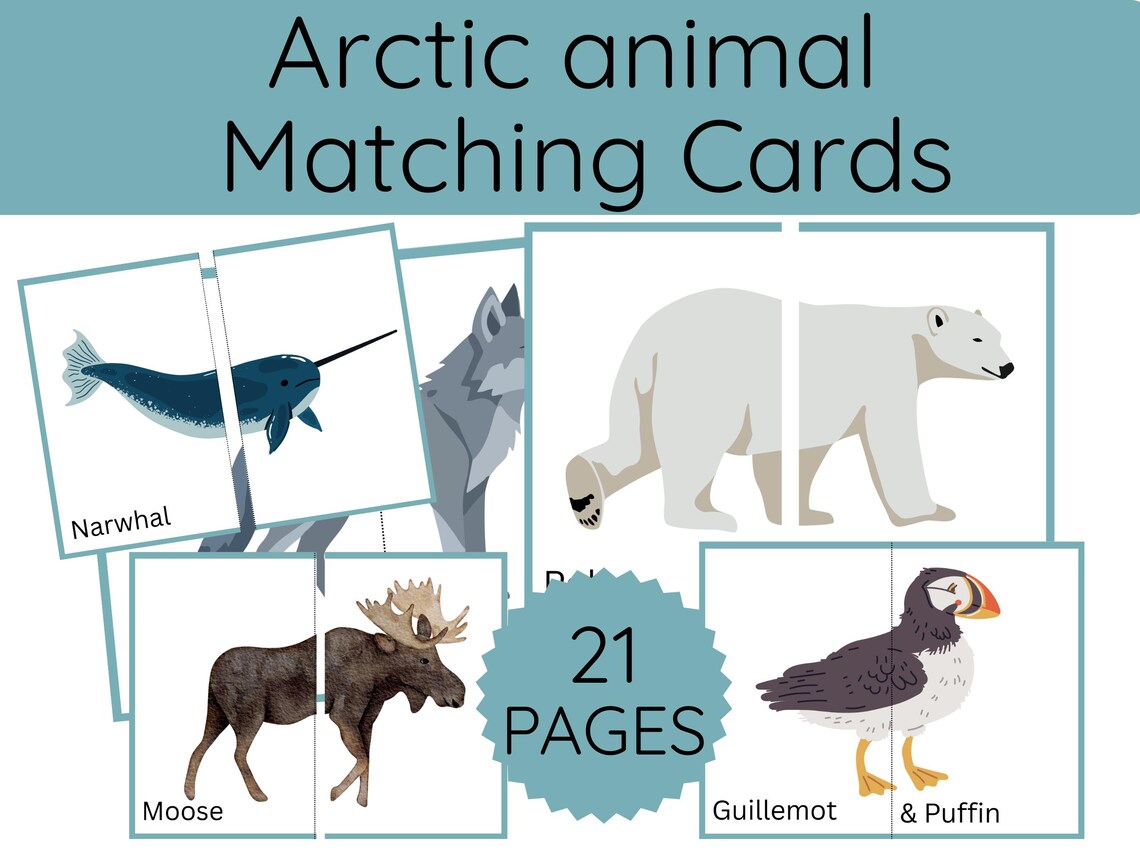 Polar Arctic Animals Matching Cards | 21 Printable Flashcards | Kids ...