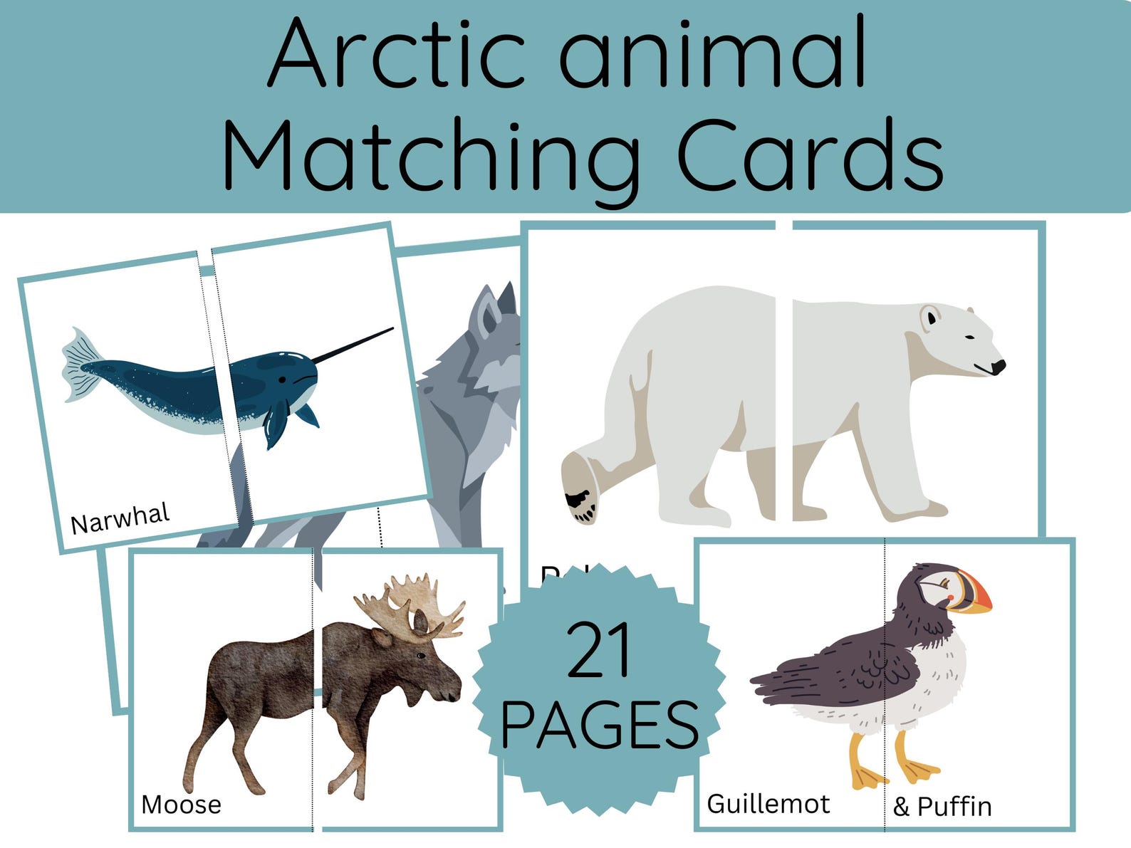 Polar Arctic Animals Matching Cards | 21 Printable Flashcards | Kids ...