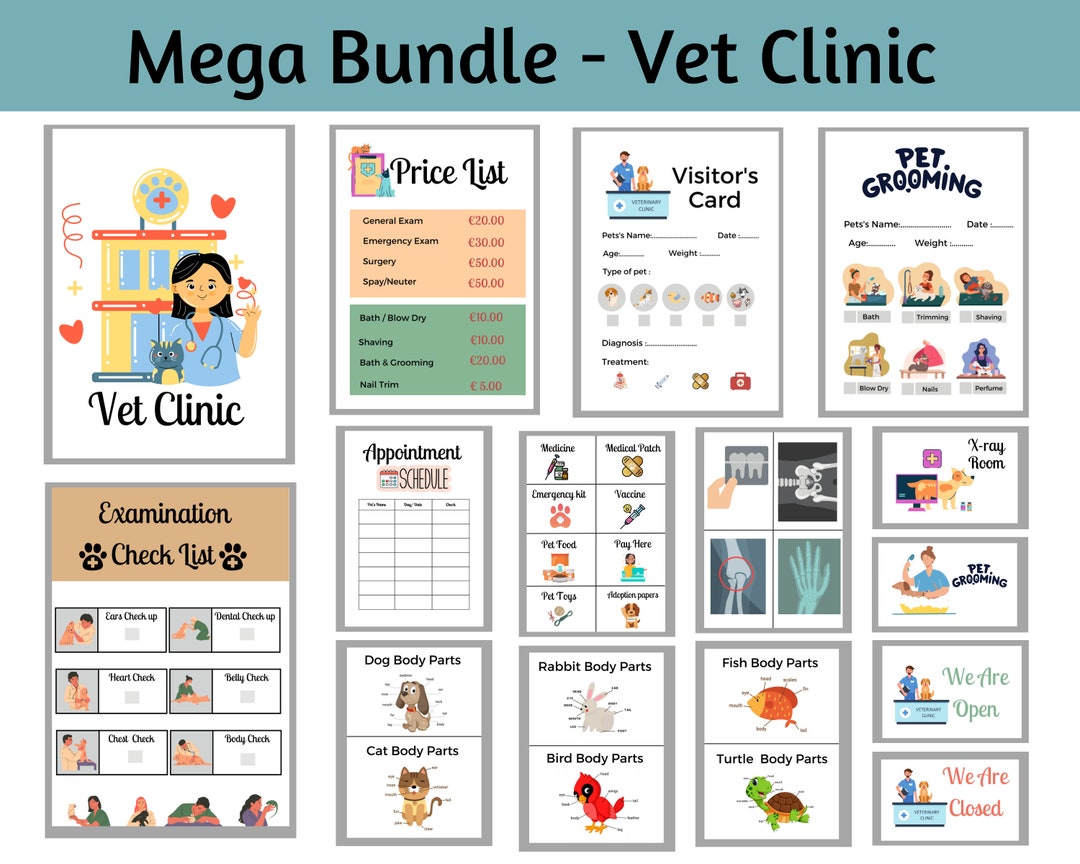 Dramatic Play, Pretend Play Vet Clinic Set, Pet Hospital Pretend Play ...