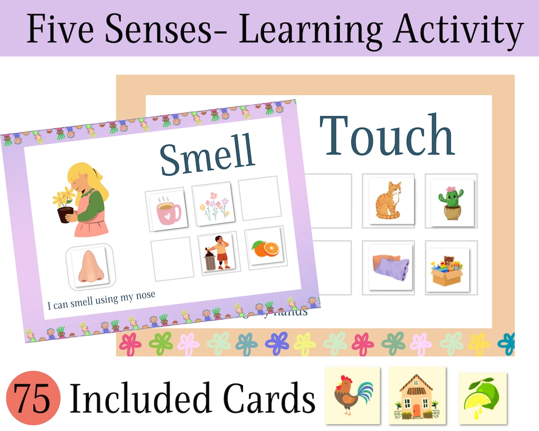 Printable Five Senses Learning Activity | Educational Sorting Game ...