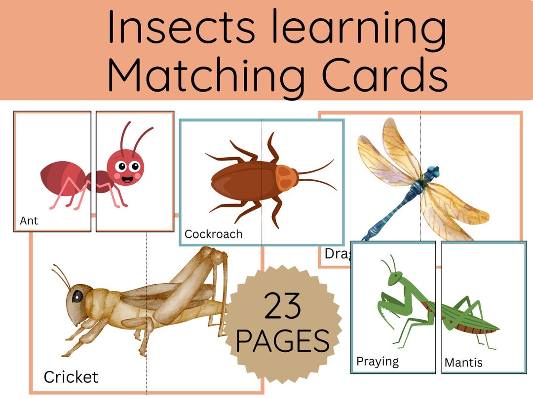 Printable Insect Matching Flashcards | 23 Bug Learning Cards for Kids ...