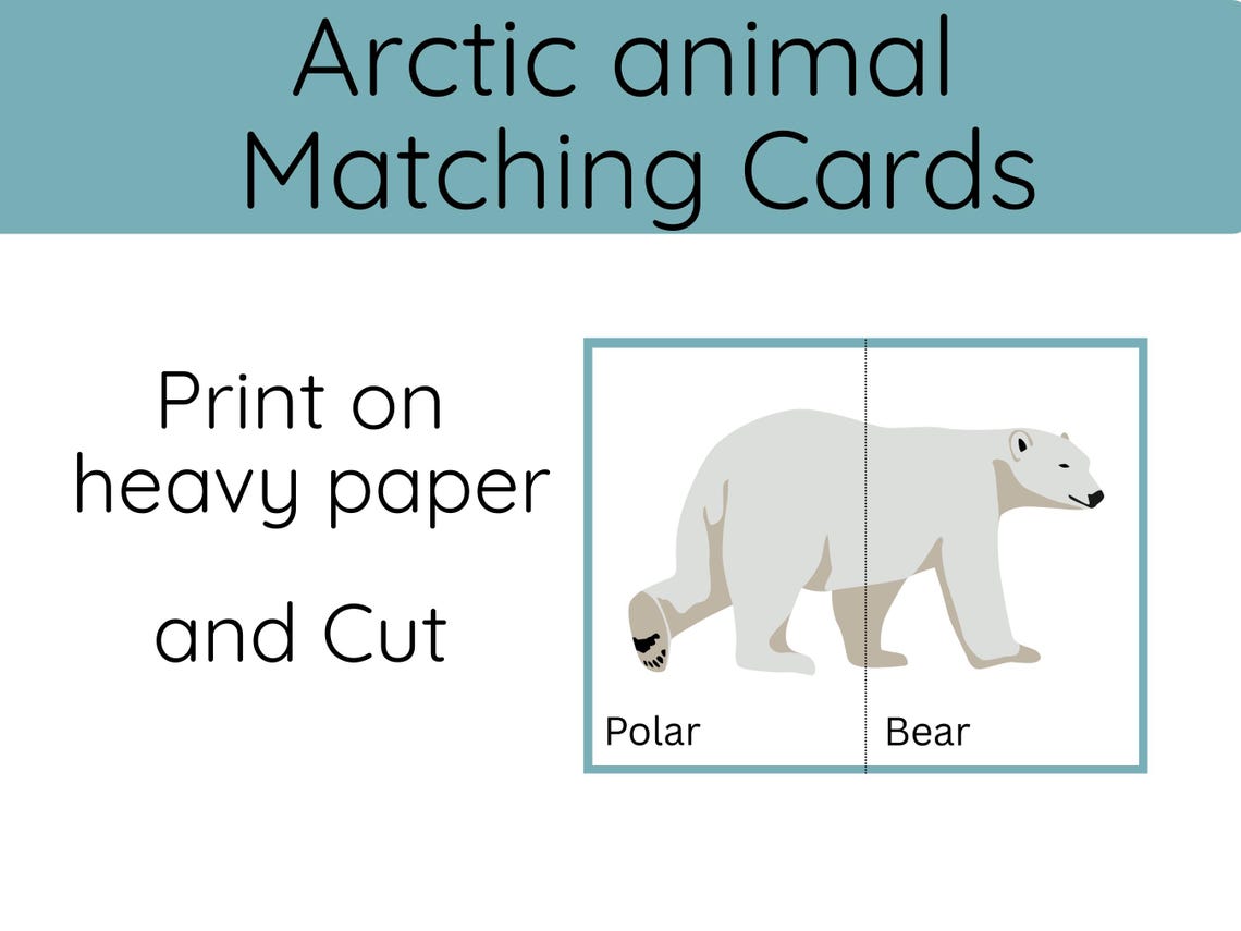 Polar Arctic Animals Matching Cards | 21 Printable Flashcards | Kids ...