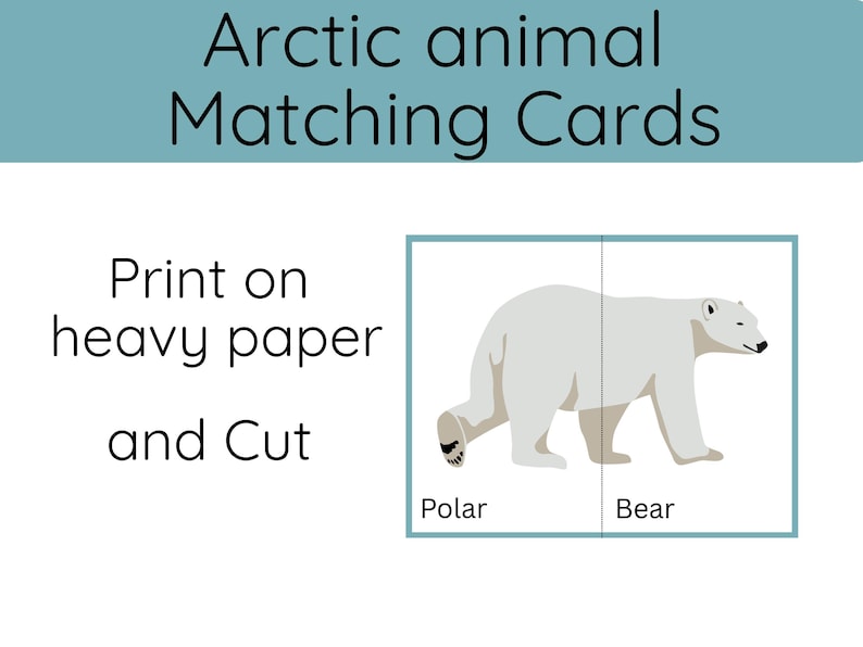 Polar Arctic Animals Matching Cards | 21 Printable Flashcards | Kids ...