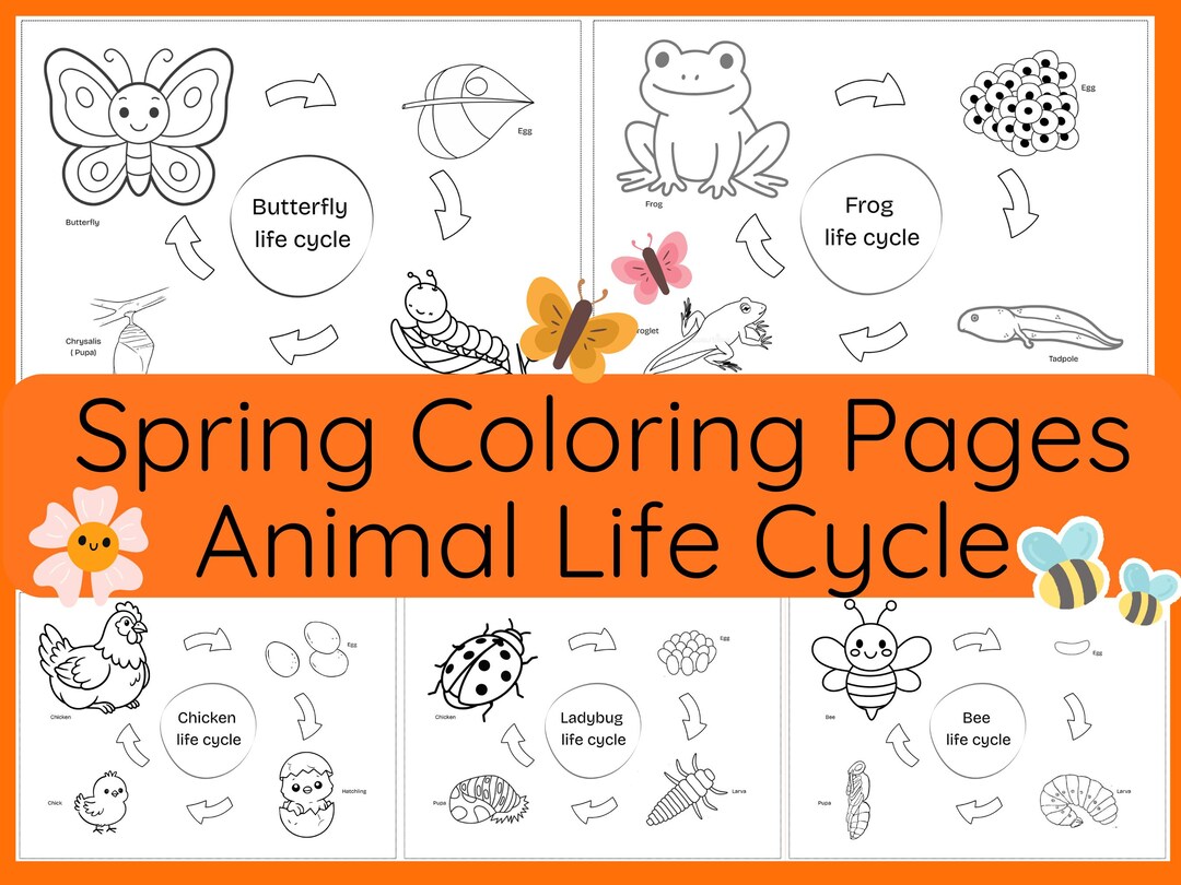 Spring Animals | Life Cycle Coloring Pages | Printable Educational ...
