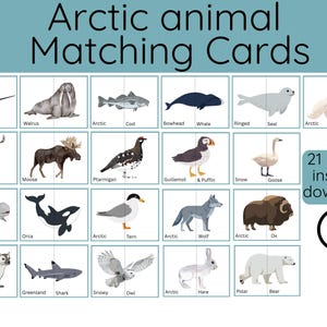 Polar Arctic Animals Matching Cards | 21 Printable Flashcards | Kids ...