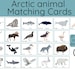 Polar Arctic Animals Matching Cards | 21 Printable Flashcards | Kids ...
