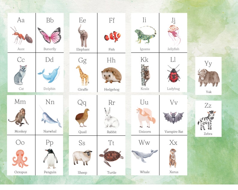 Watercolor Alphabet Flashcardsanimals ABC Cards montessori - Etsy