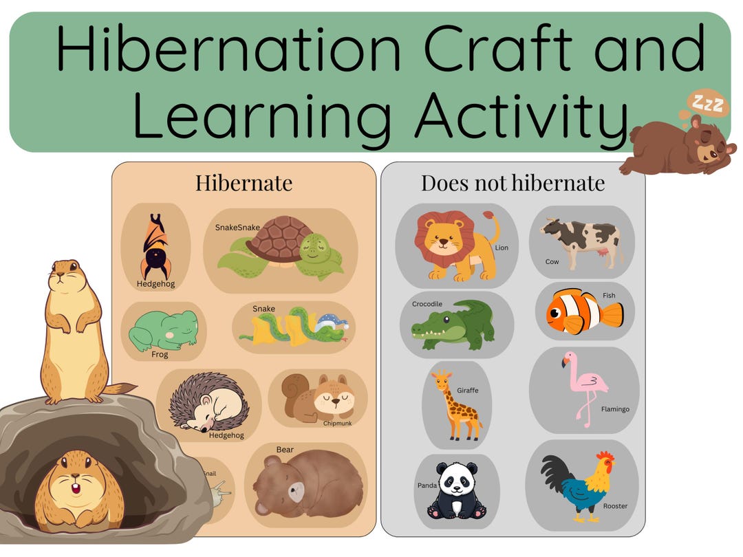Hibernating Animals Sort Activity | Winter Animals Learning Preschool ...