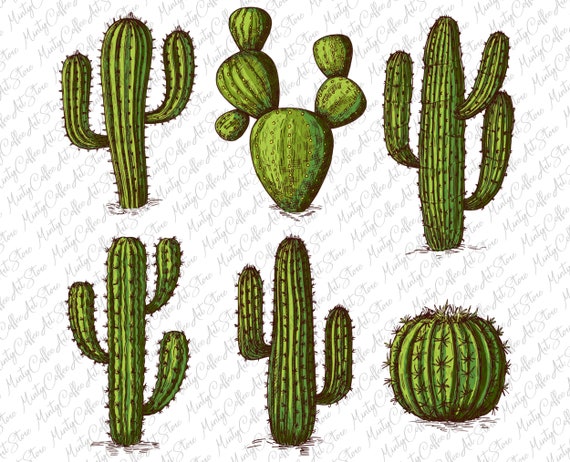 Western Cactus Clip Art