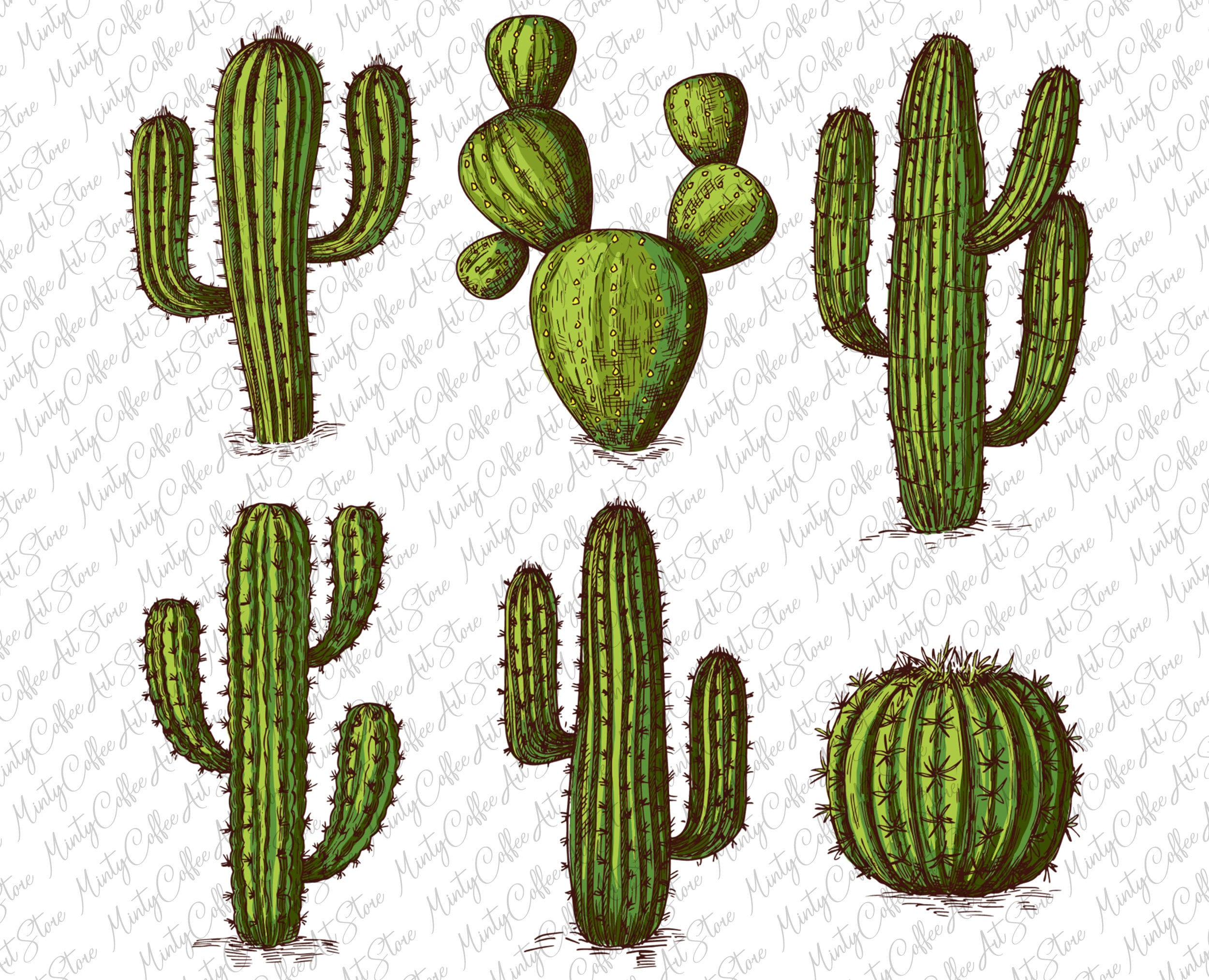 Cactus Png, Cactus Clipart Bundle, Western Cactus Png, Handdrawn Cactus ...
