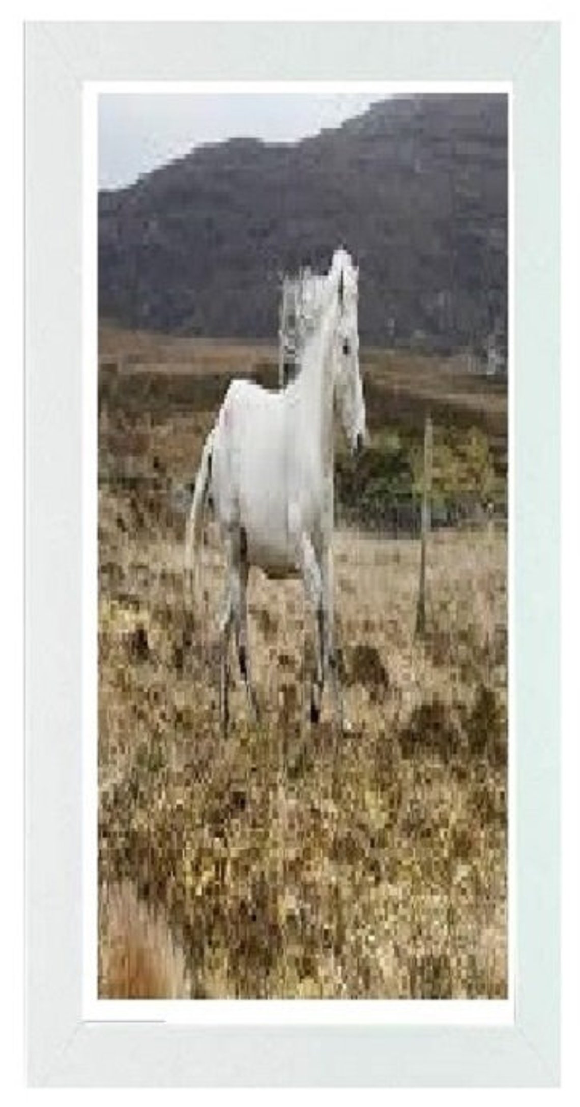 Picture Frames Photo Frame Poster Frame Wood Frame A1 A2 A3 A4 A5 A6 ...