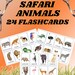 Fruits & Vegetable Flashcards, Montessori, Pre-k, Preschool, Homeschool ...