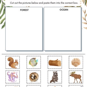 Early Learner Forest Workbook, Worksheets, Preschool, Learning ...