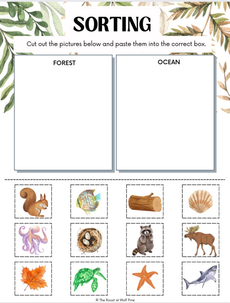Early Learner Forest Workbook, Worksheets, Preschool, Learning ...