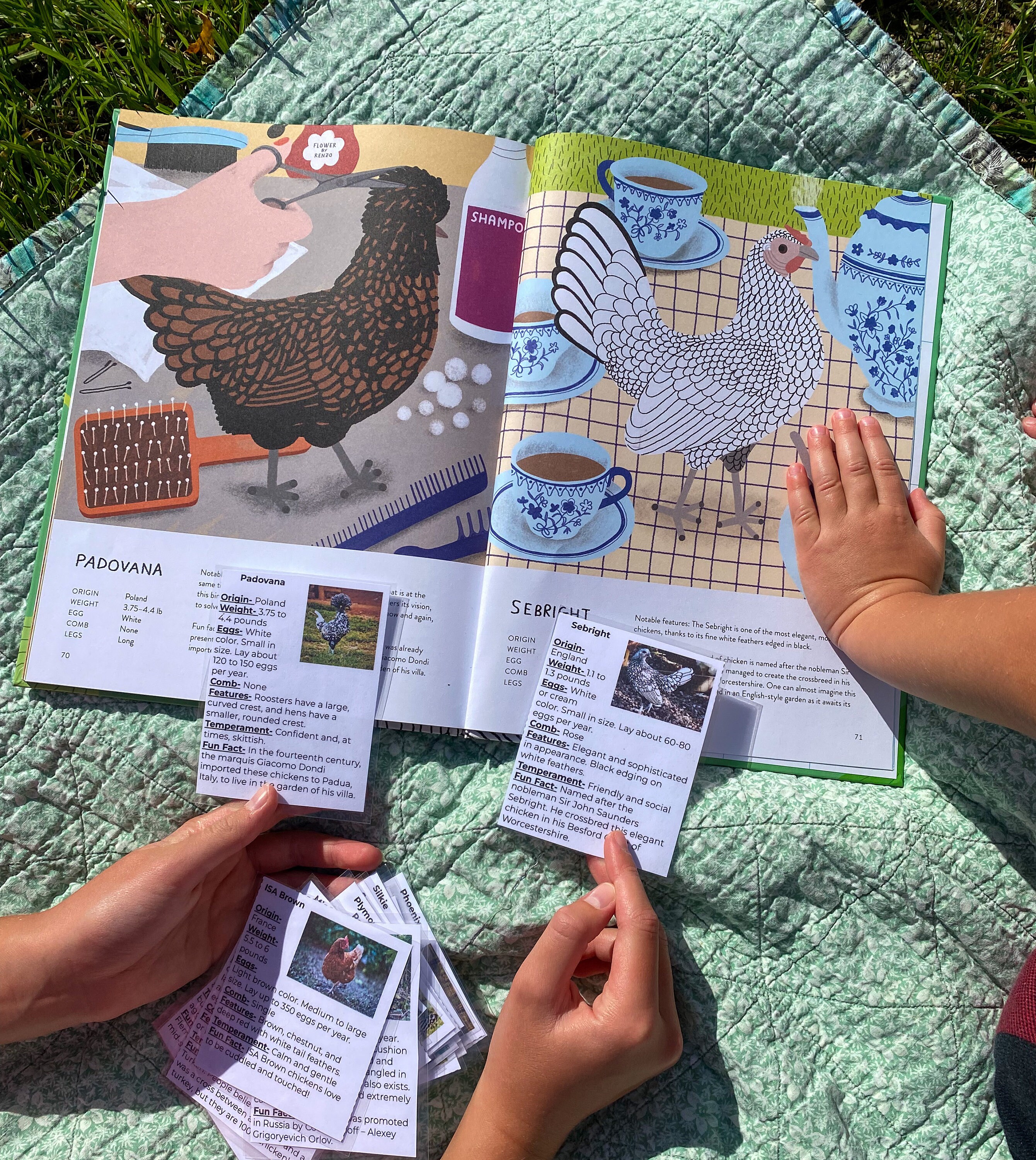 Chicken Unit Study, Backyard Chickens, Homeschool, Homeschool ...
