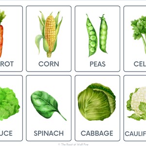 Fruits & Vegetable Flashcards, Montessori, Pre-k, Preschool, Homeschool ...