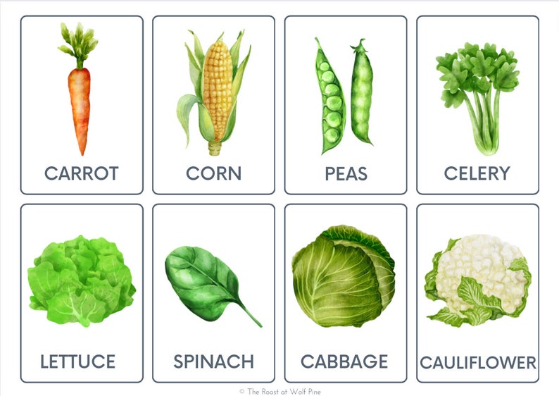 Fruits & Vegetable Flashcards, Montessori, Pre-k, Preschool, Homeschool ...