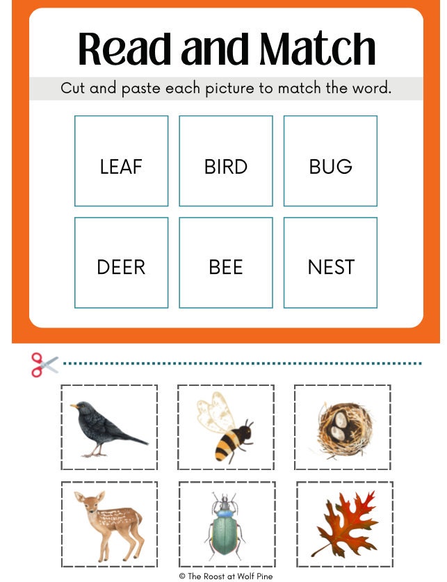 Early Learner Forest Workbook, Worksheets, Preschool, Learning ...