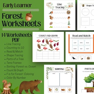 Early Learner Forest Workbook, Worksheets, Preschool, Learning ...