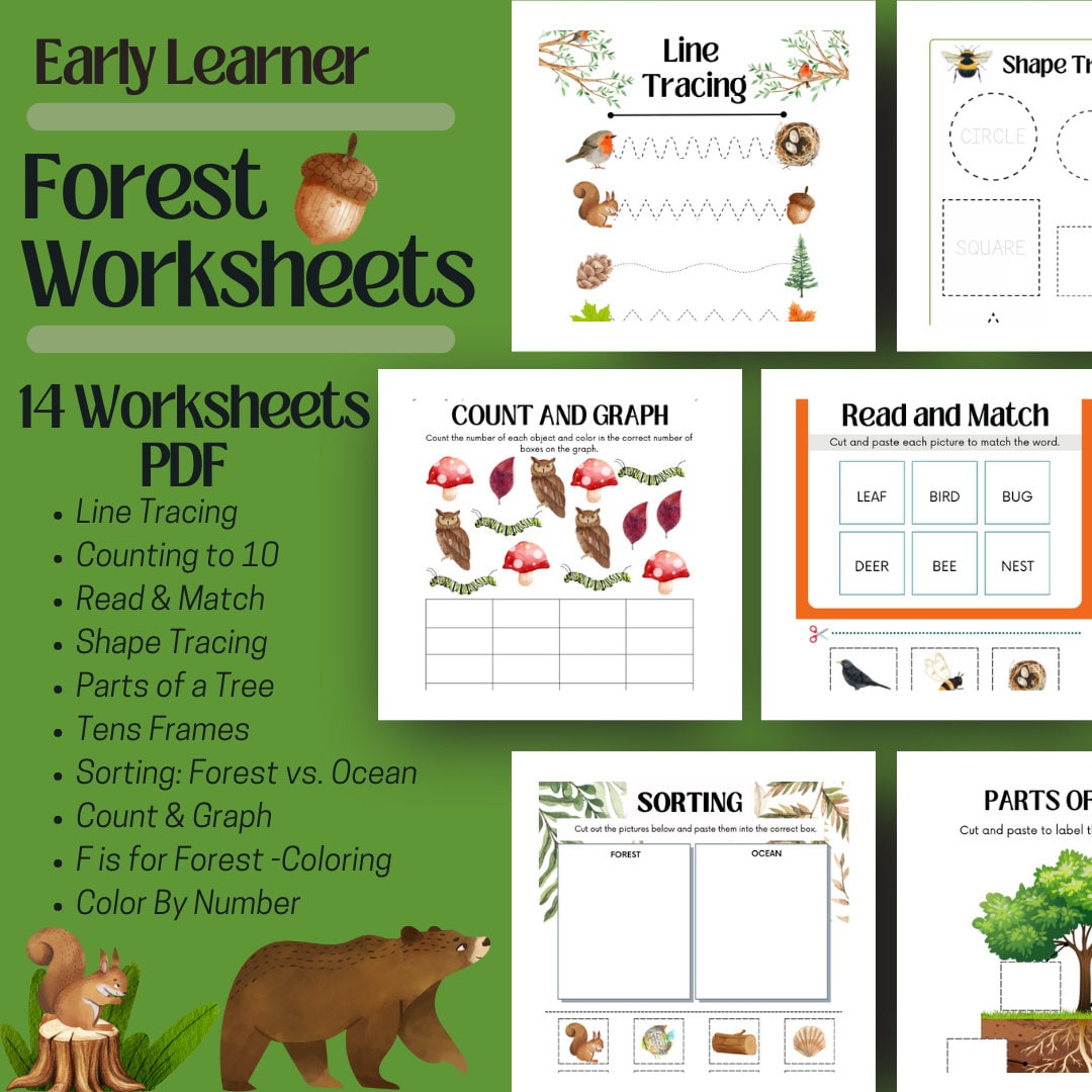 Early Learner Forest Workbook, Worksheets, Preschool, Learning ...