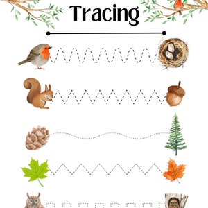 Early Learner Forest Workbook, Worksheets, Preschool, Learning ...