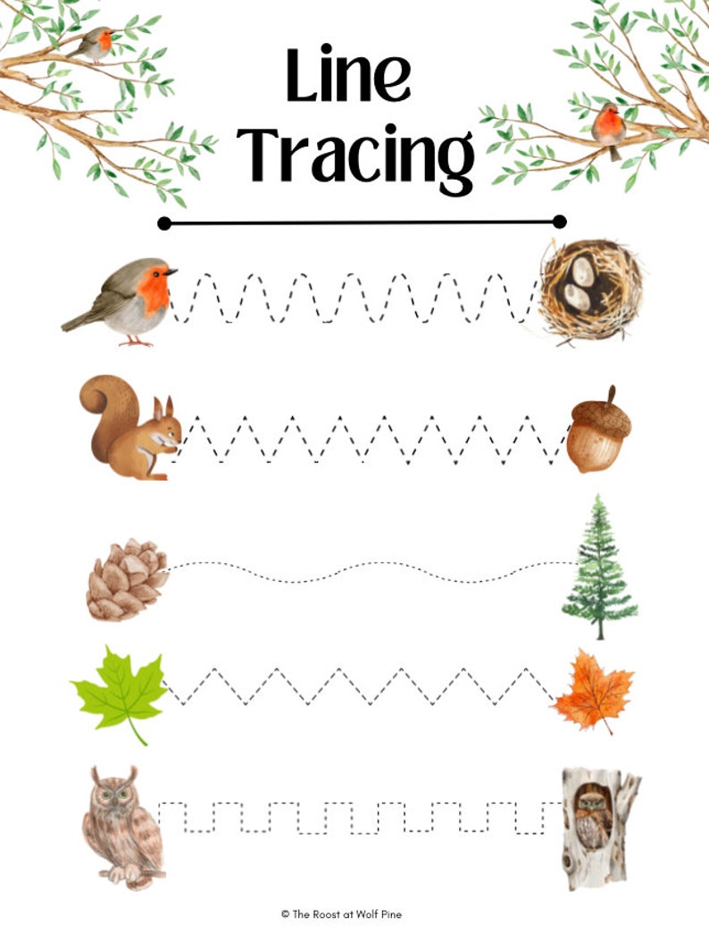 Early Learner Forest Workbook, Worksheets, Preschool, Learning ...