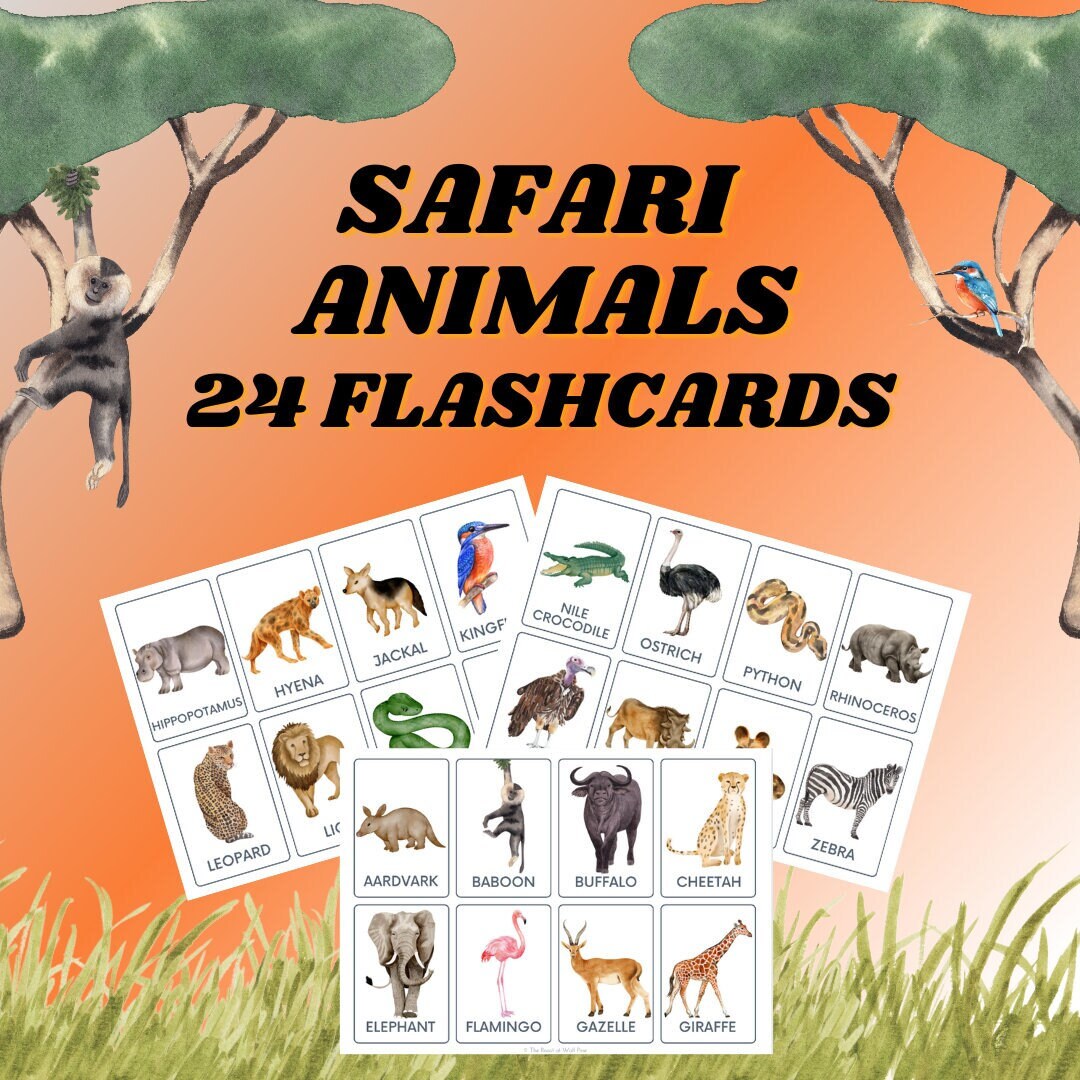 Safari Animals Flashcards, Early Learners, Pre-k, Kindergarten, First ...