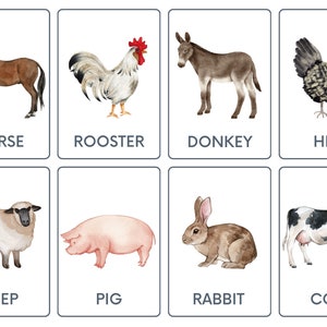Farm Animal Flashcards, Montessori, Preschool, Early Learner, Printable ...
