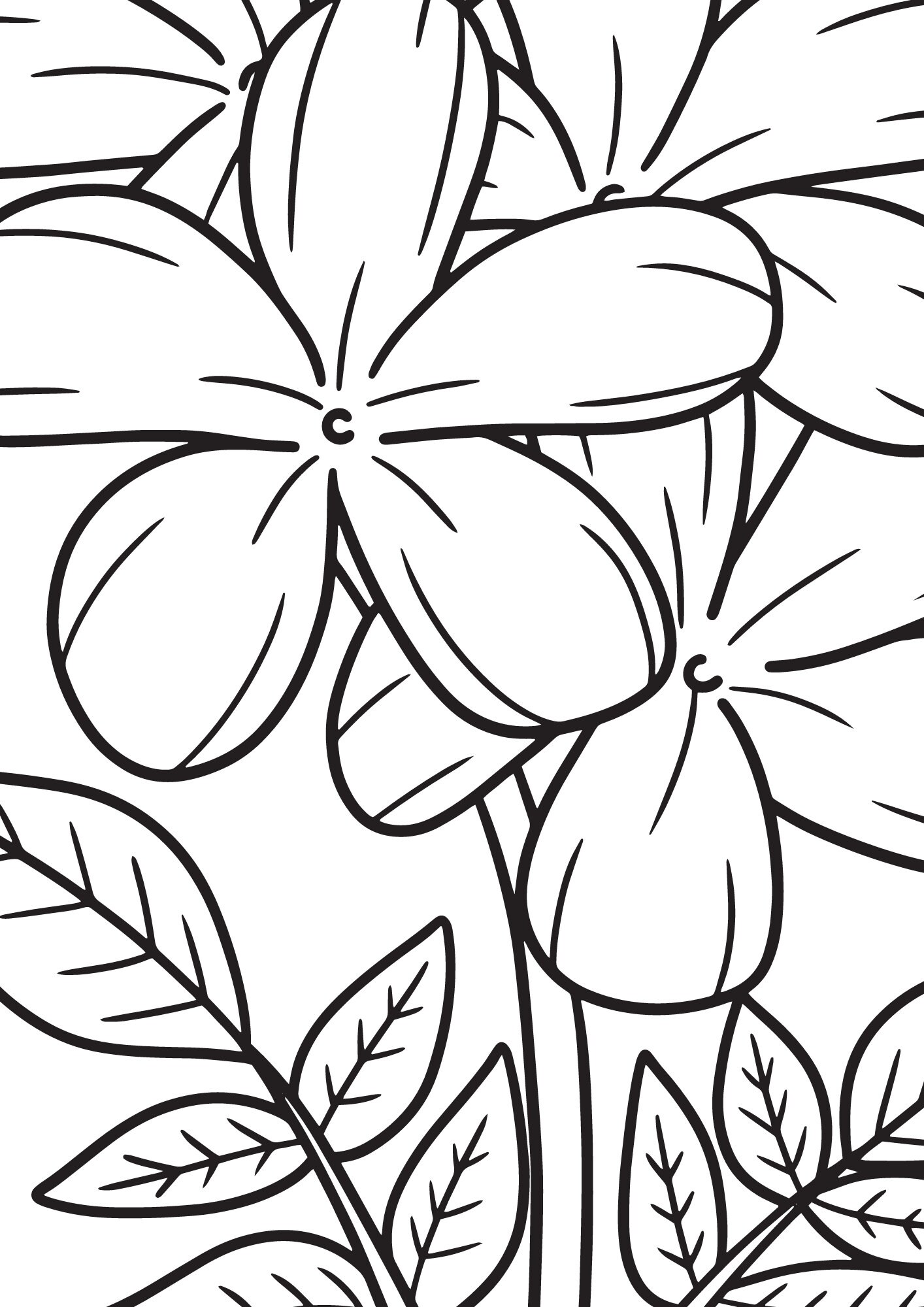 30 Botanical Colouring Sheets Digital Download Colouring - Etsy