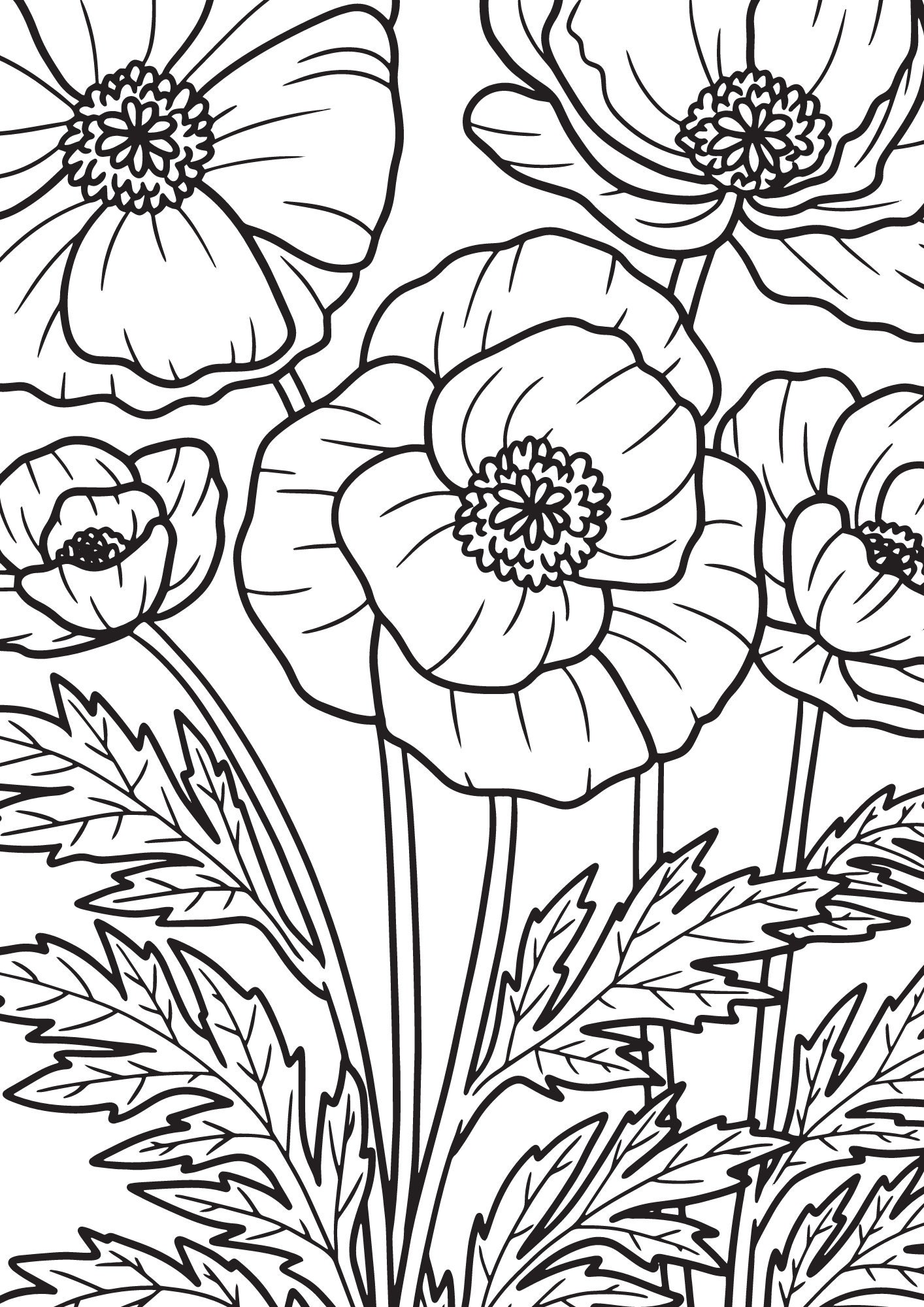 30 Botanical Colouring Sheets Digital Download Colouring - Etsy