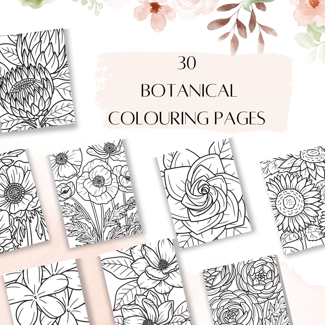 30 Botanical Colouring Sheets Digital Download Colouring - Etsy