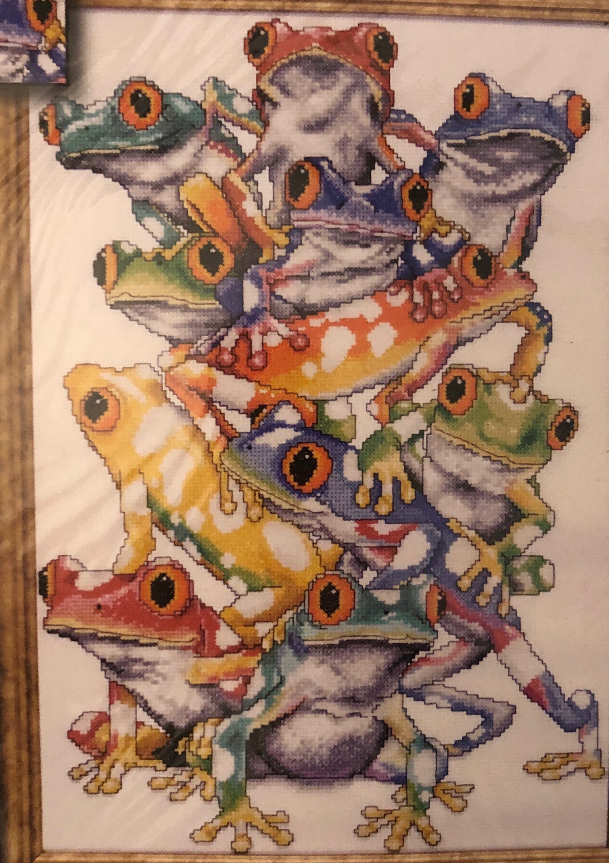 Cross Stitch Design Works frog Pile Size 11 - Etsy
