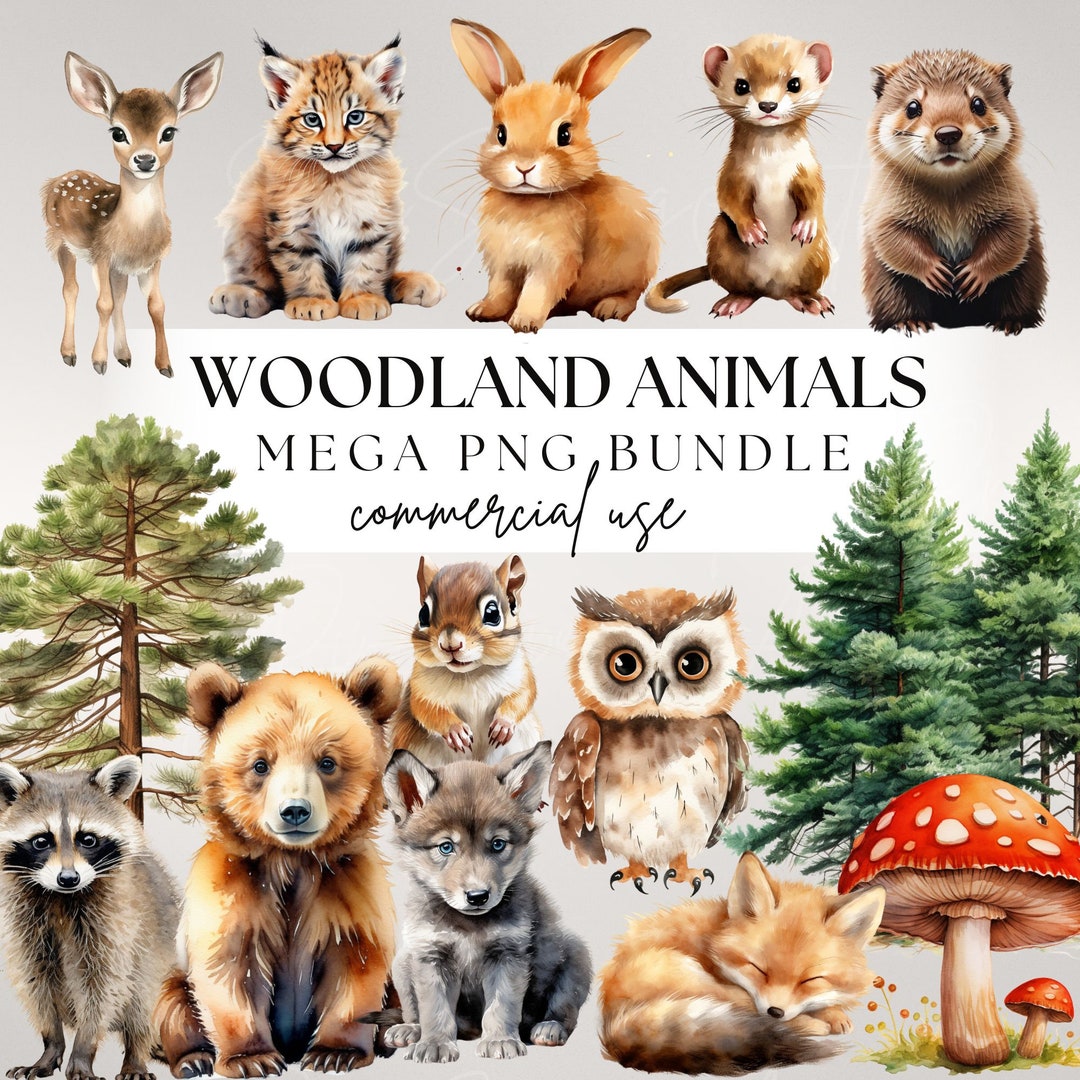 Woodland Animals Png Watercolor Clipart Bundle, Set of 33 HQ Forest ...