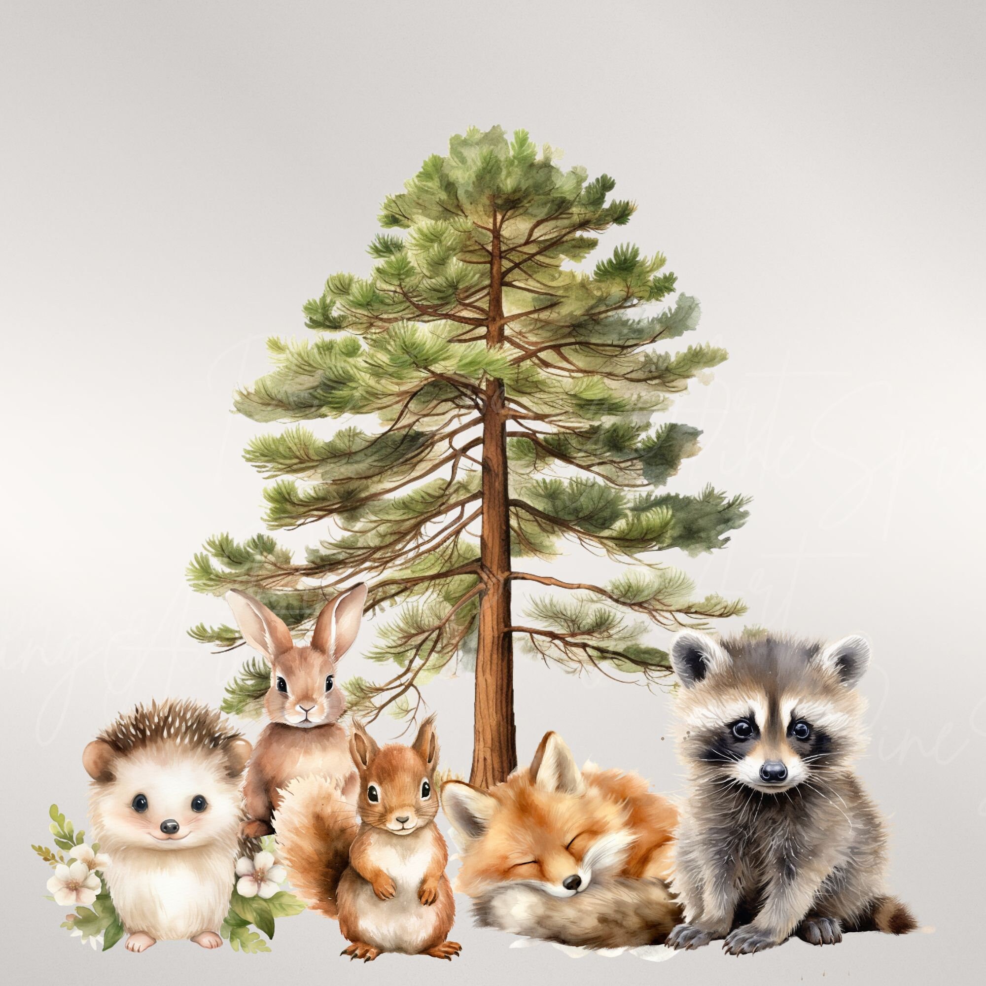 Woodland Animals Png Watercolor Clipart Bundle Set of 33 HQ - Etsy