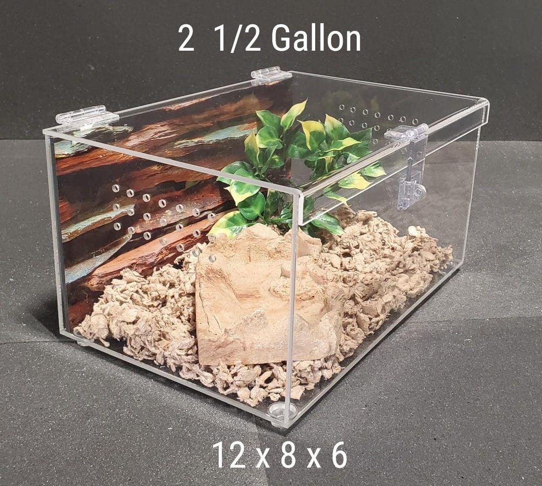 Reptile Enclosure, Tarantula Cage, 2 1/2 Gallon Size, Gecko, Terrarium ...