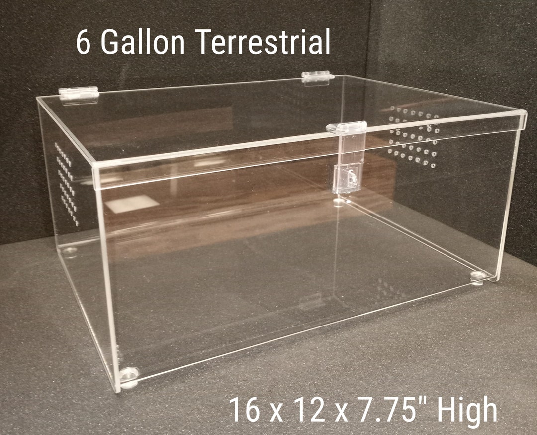 Reptile Enclosure, Tarantula Cage, 6 Gallon Size, Gecko, Terrarium - Etsy