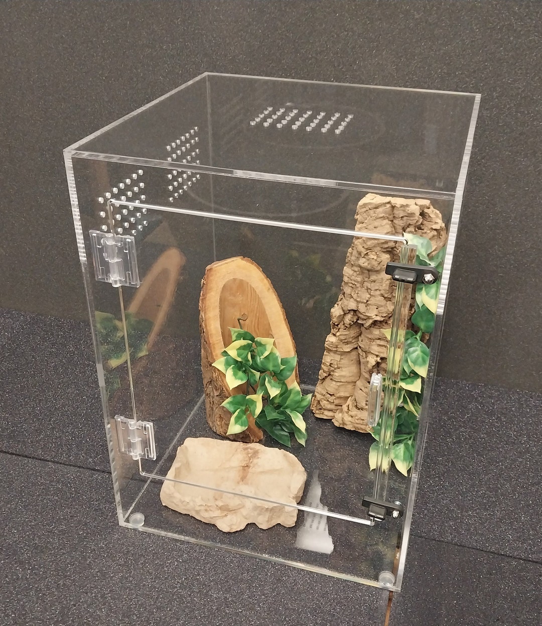 Reptile Arboreal 10 Gallon Front Opening Enclosure, Terrariums ...