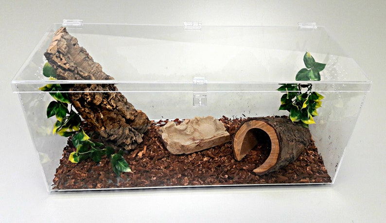 Reptile Enclosure Tarantula Cage 10 Gallon Size Gecko - Etsy